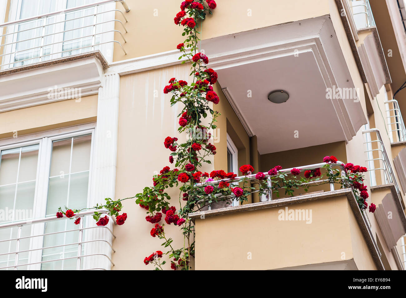 balcony with roses Stock Photo - Alamy