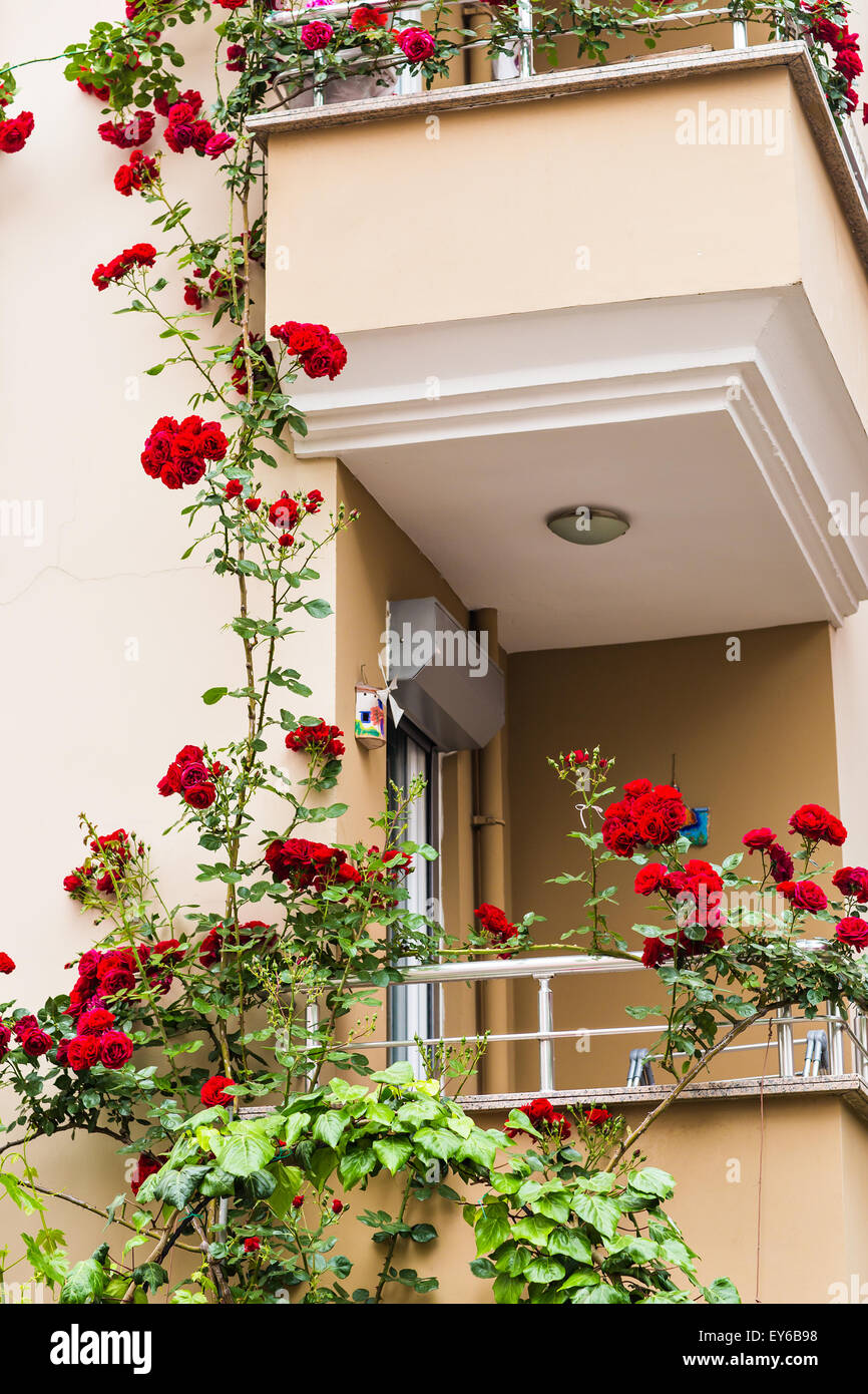 balcony with roses Stock Photo - Alamy