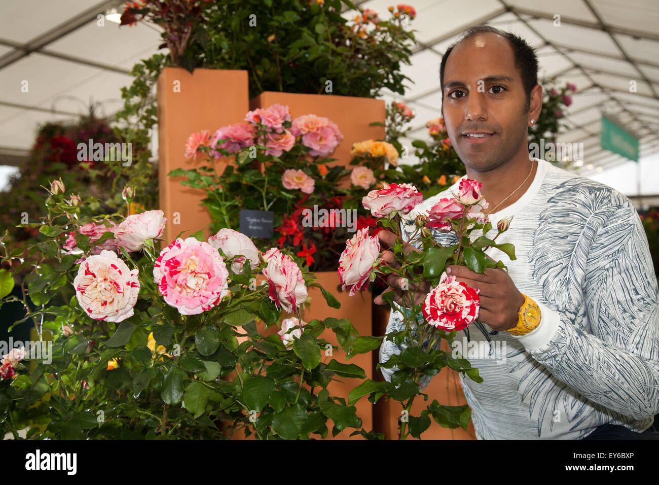 Roses display garden centre hi-res stock photography and images - Alamy