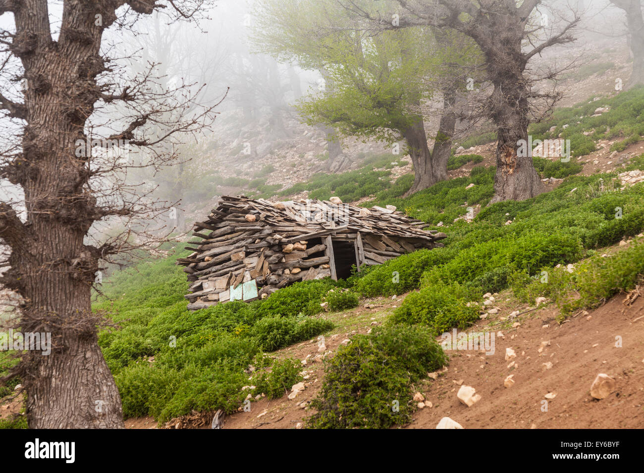 North of iran nature hi-res stock photography and images - Alamy