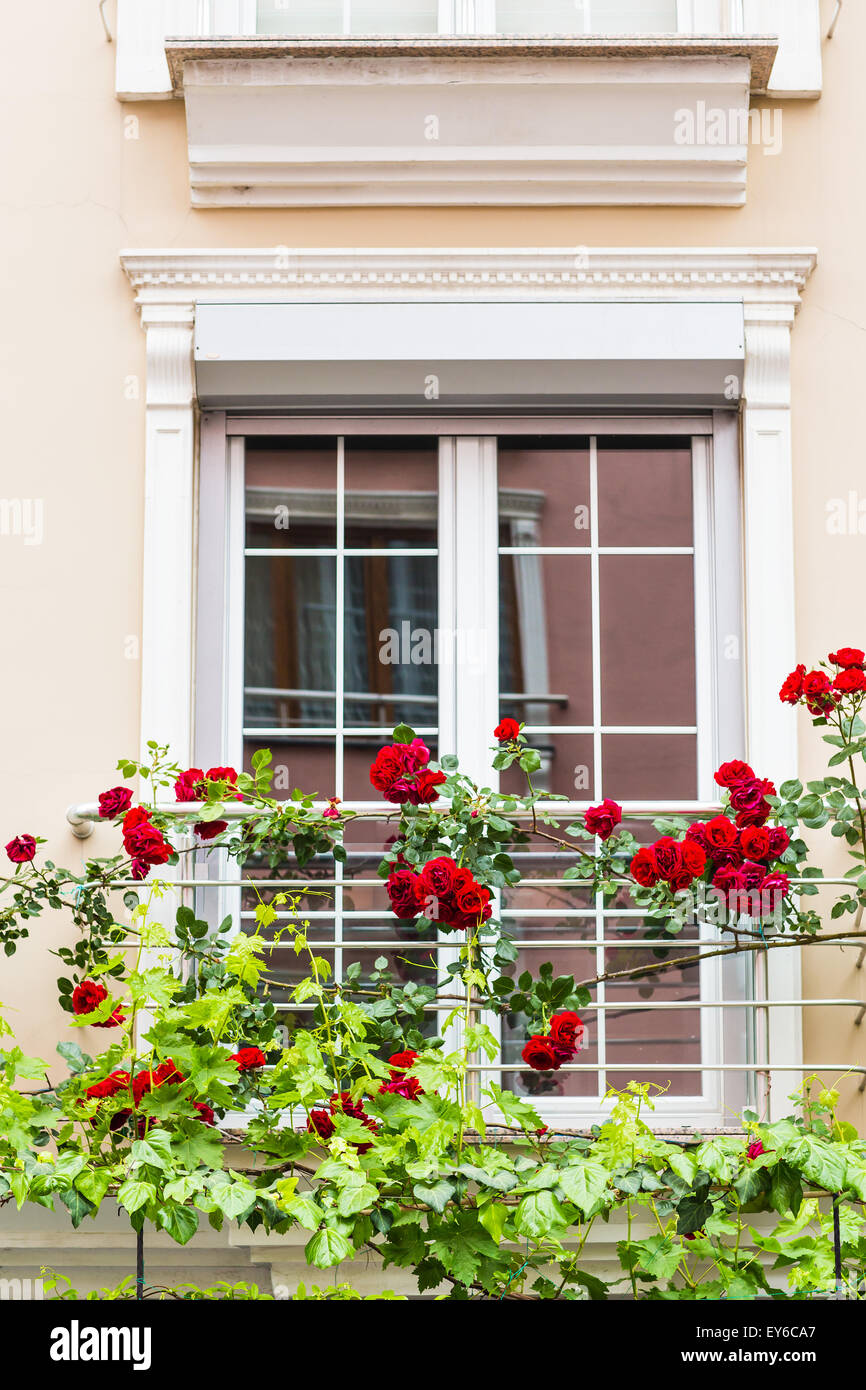 window with roses Stock Photo - Alamy
