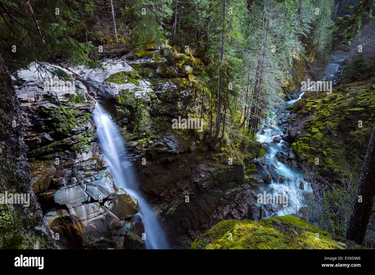 Nooksack Falls, Washington State, USA Stock Photo - Alamy