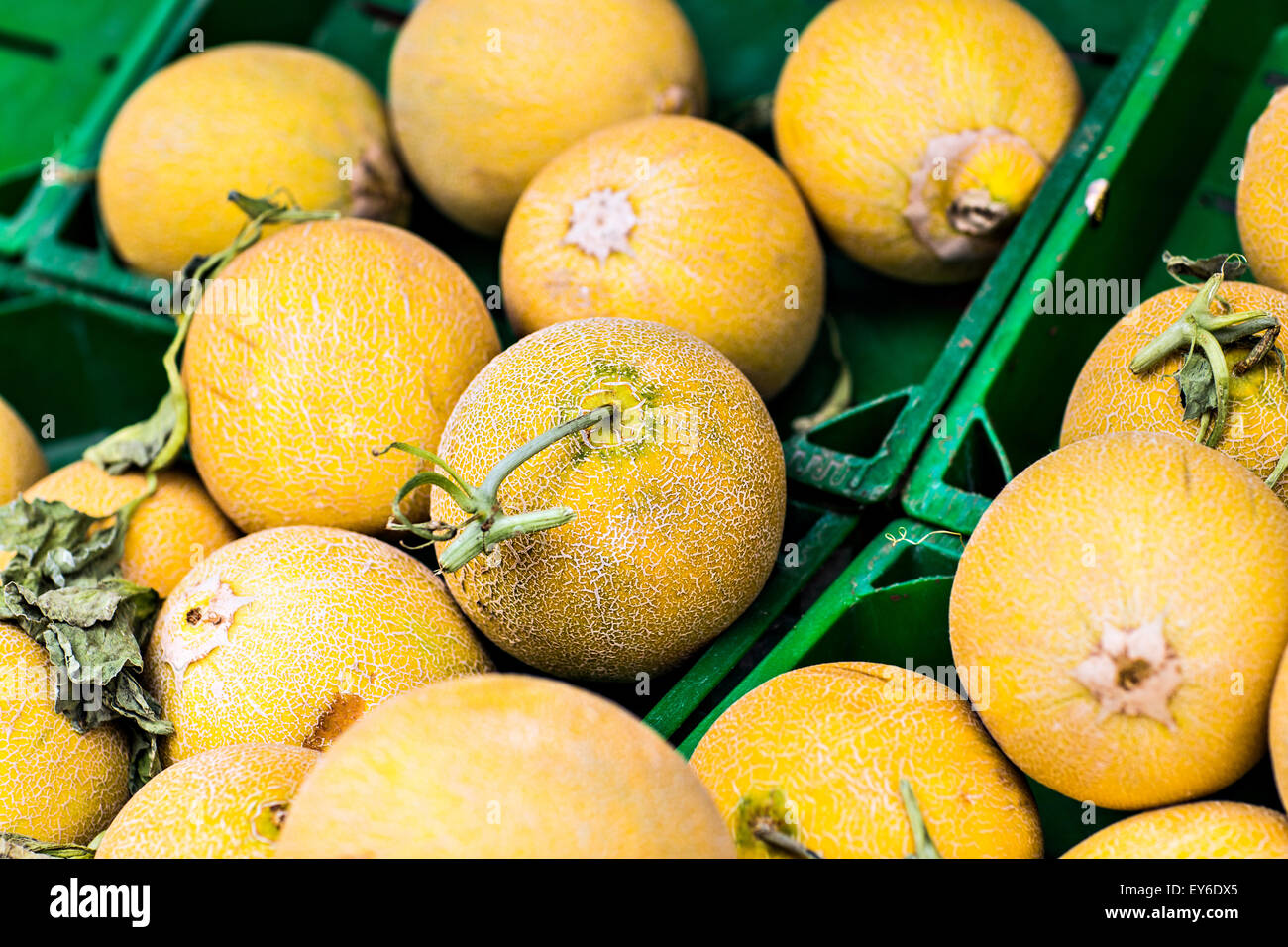 Israel cantaloupe hi-res stock photography and images - Alamy