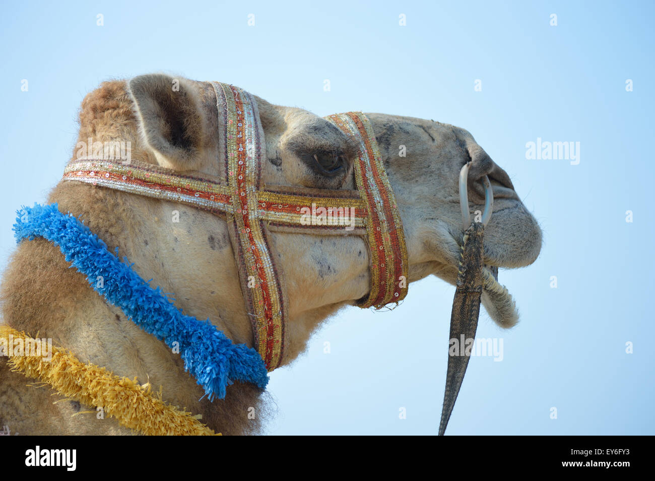 Innocent face hi-res stock photography and images - Alamy