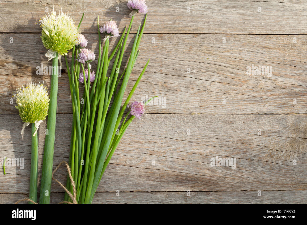 Fresh garden spring onion on garden table. Top view with copy space ...