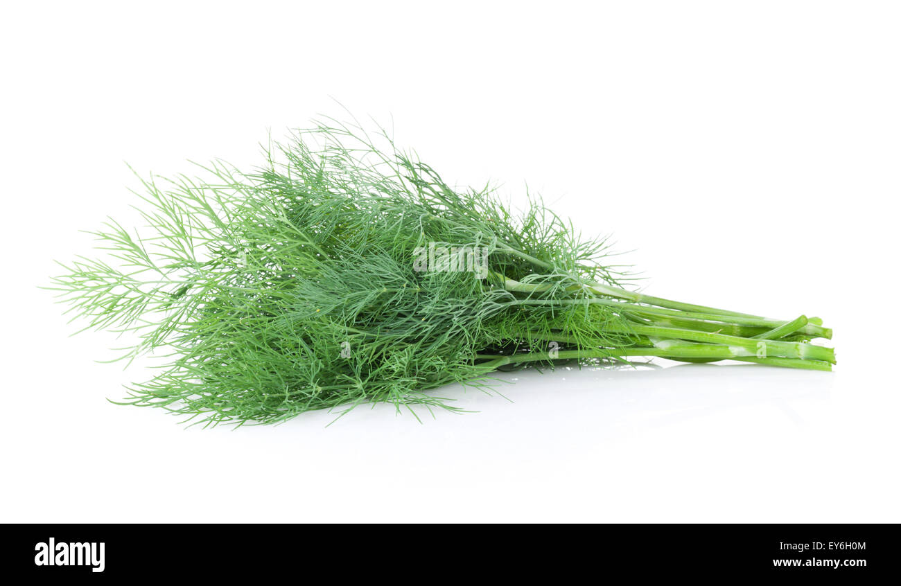 Herbs dill hi-res stock photography and images - Alamy