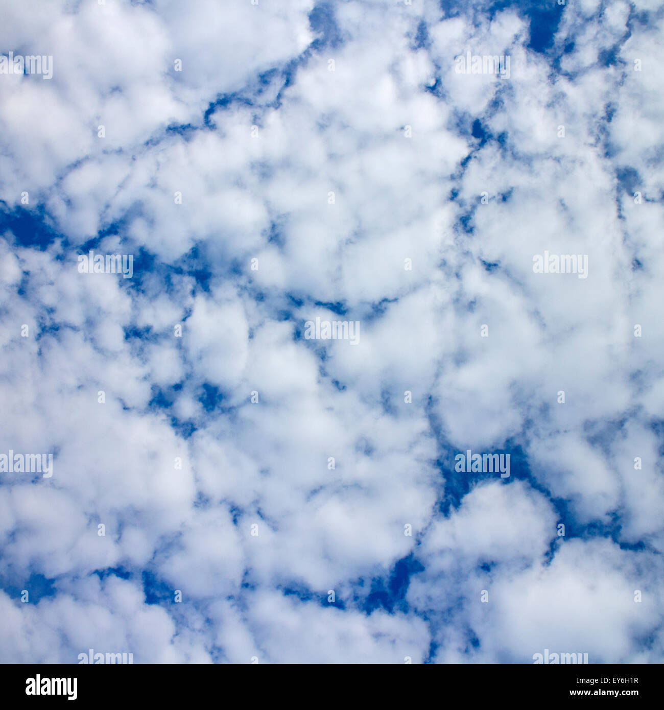 Altocumulus clouds hi-res stock photography and images - Alamy