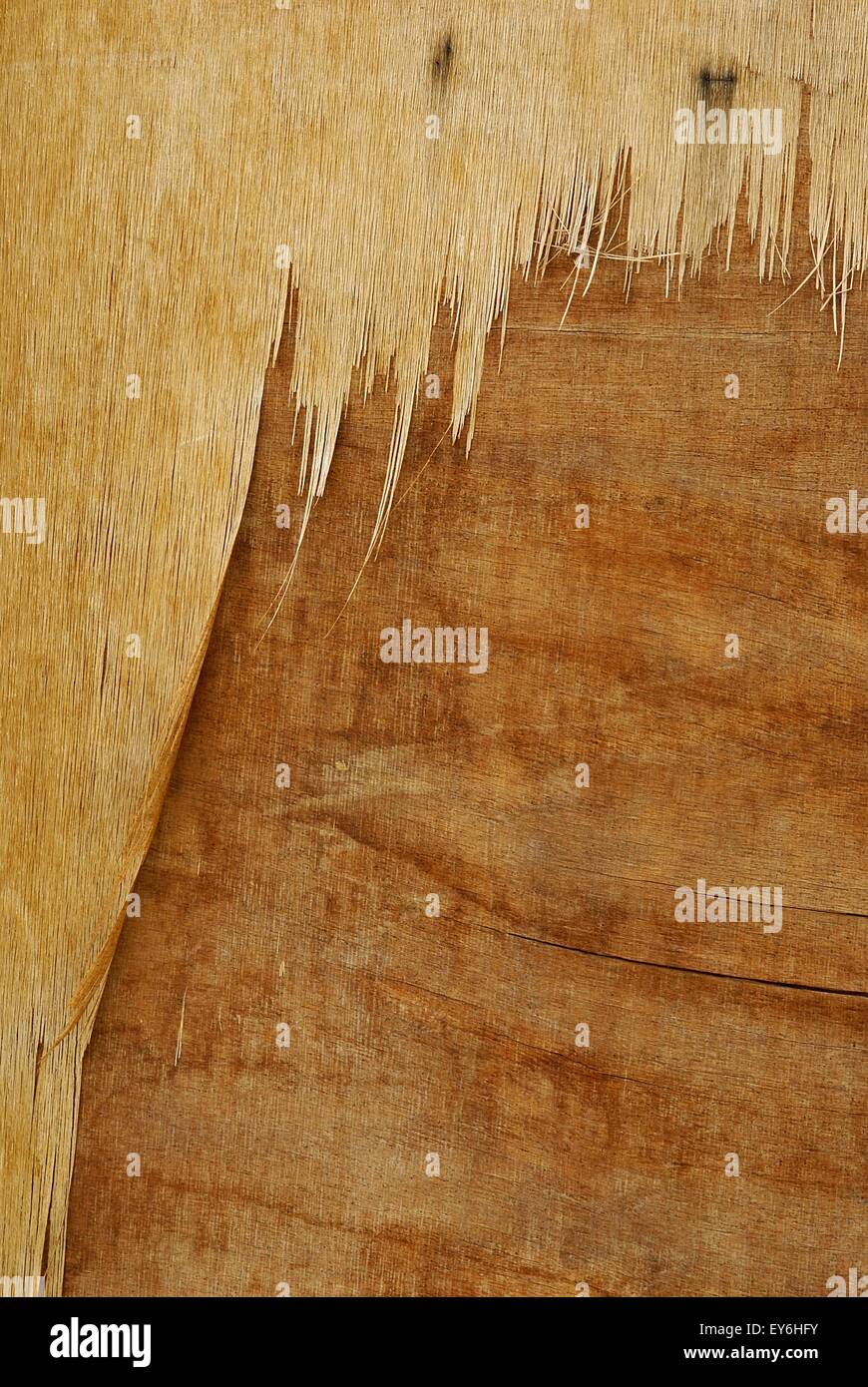 Untreated Wood Texture High Resolution Stock Photography and Images - Alamy