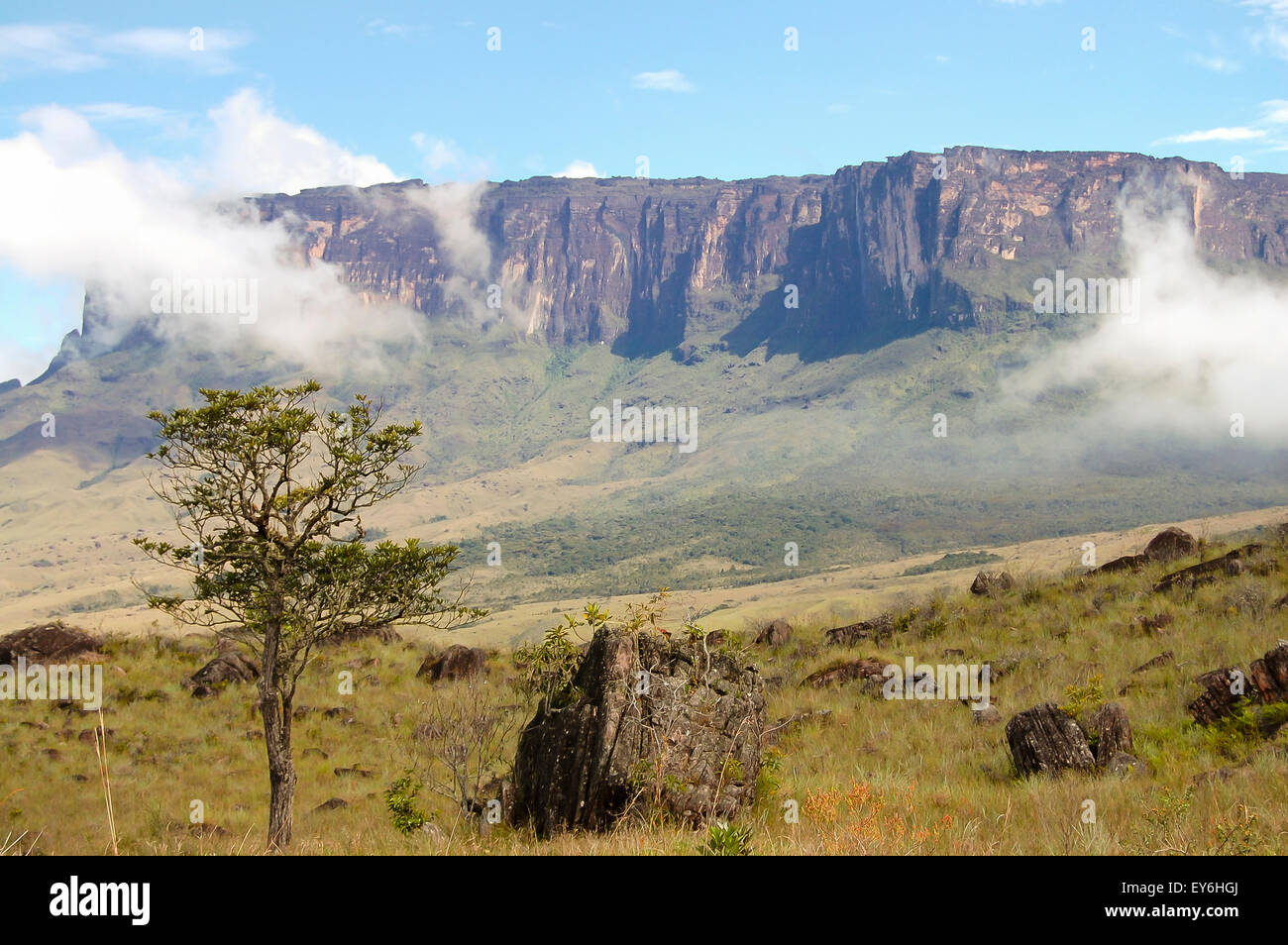 Mount Roraima - Venezuela Stock Photo - Alamy