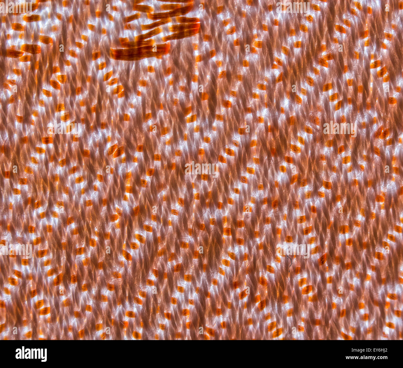 Weaving the threads in the fabric is macro. Abstract drawing, chaotic ...