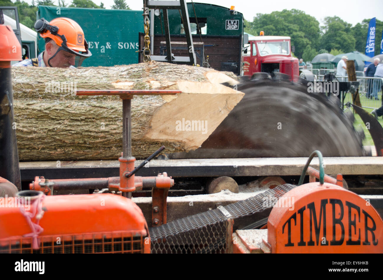 Sawing logs into planks using traditional sawmill Stock Photo - Alamy
