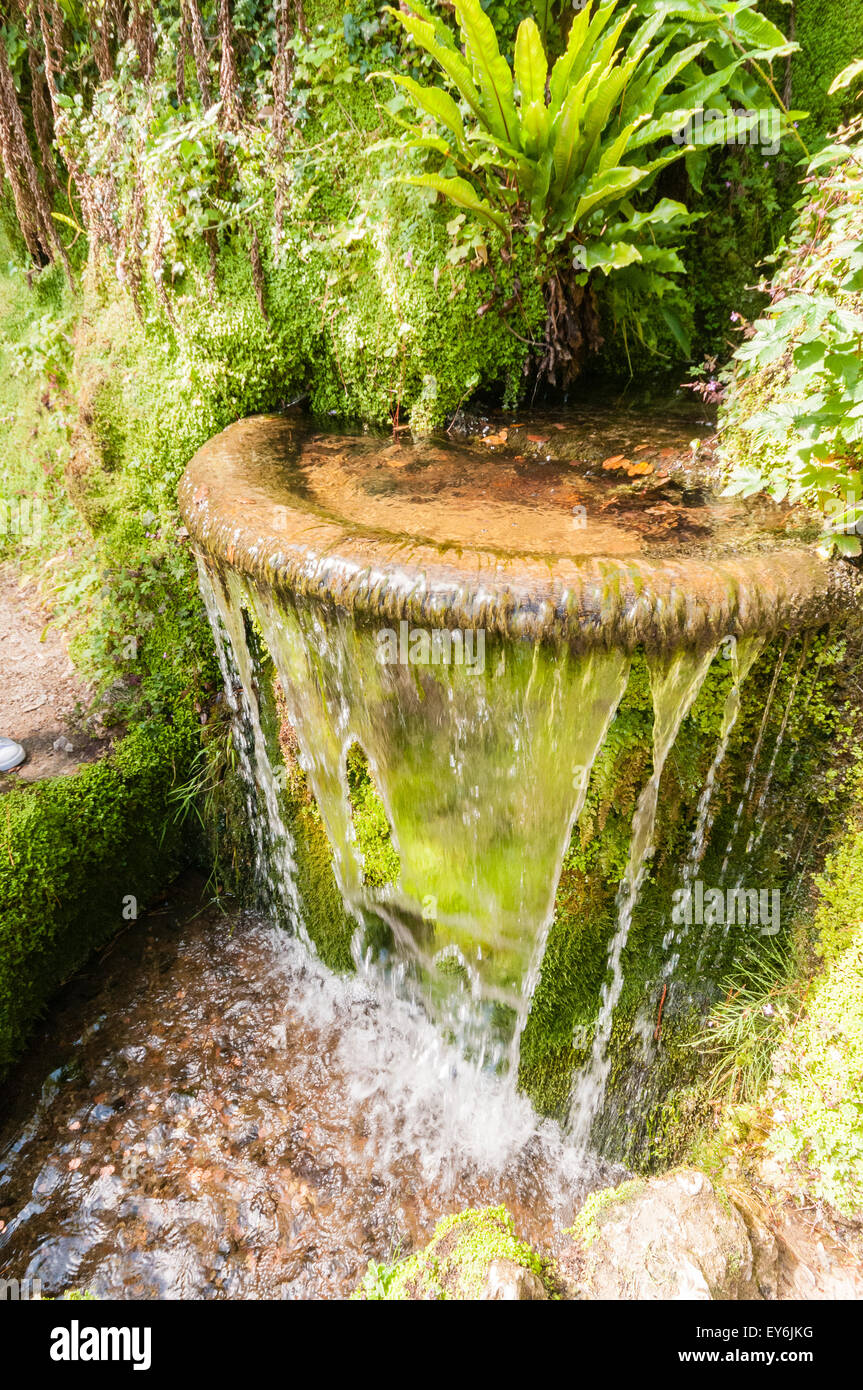 Water feature in the Japanese gardens at Powerscourt, Ireland Stock ...
