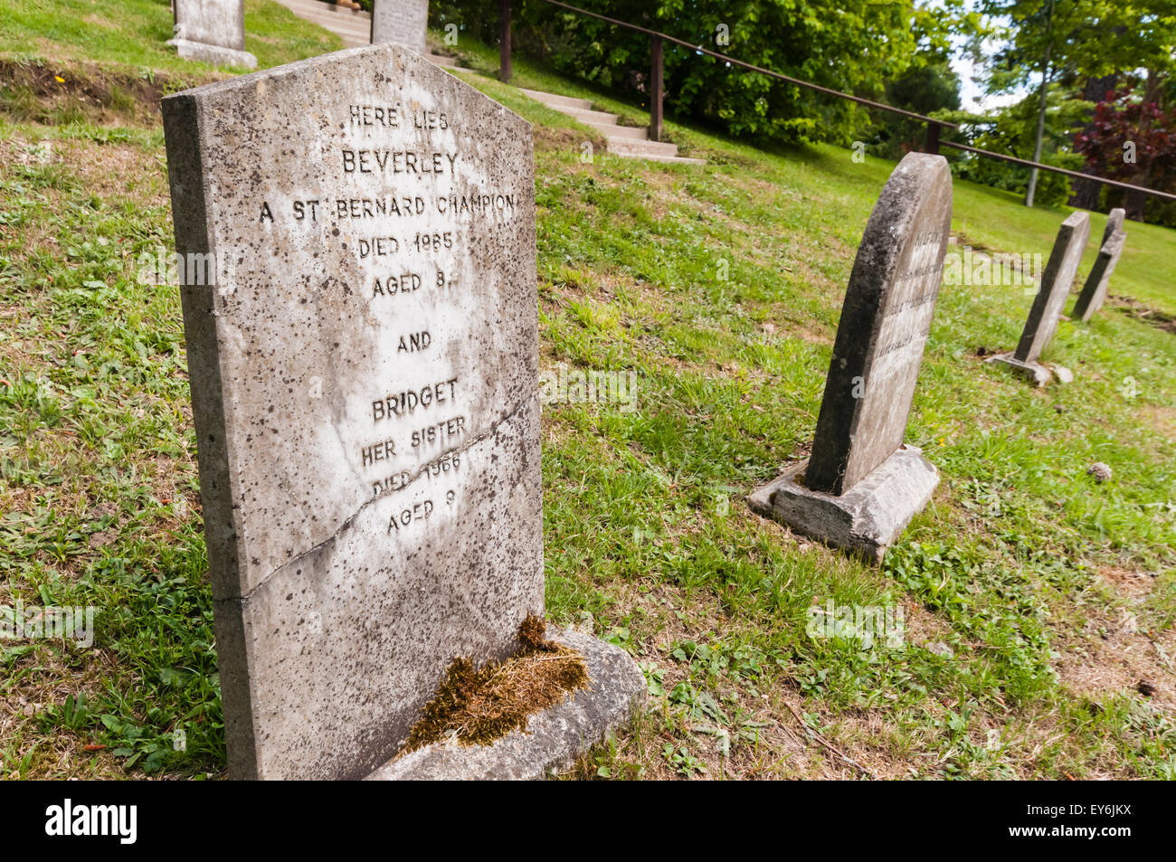 Pet cemetery hi-res stock photography and images - Alamy