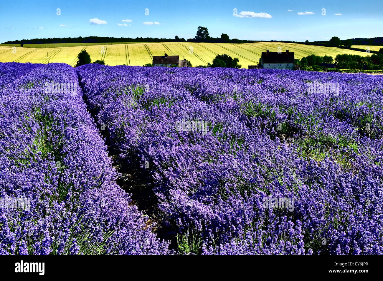 Broadway cotswolds hi-res stock photography and images - Alamy