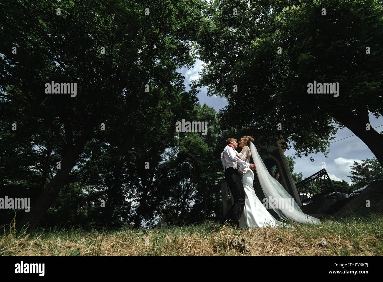 Bride and groom in the forest Stock Photo - Alamy
