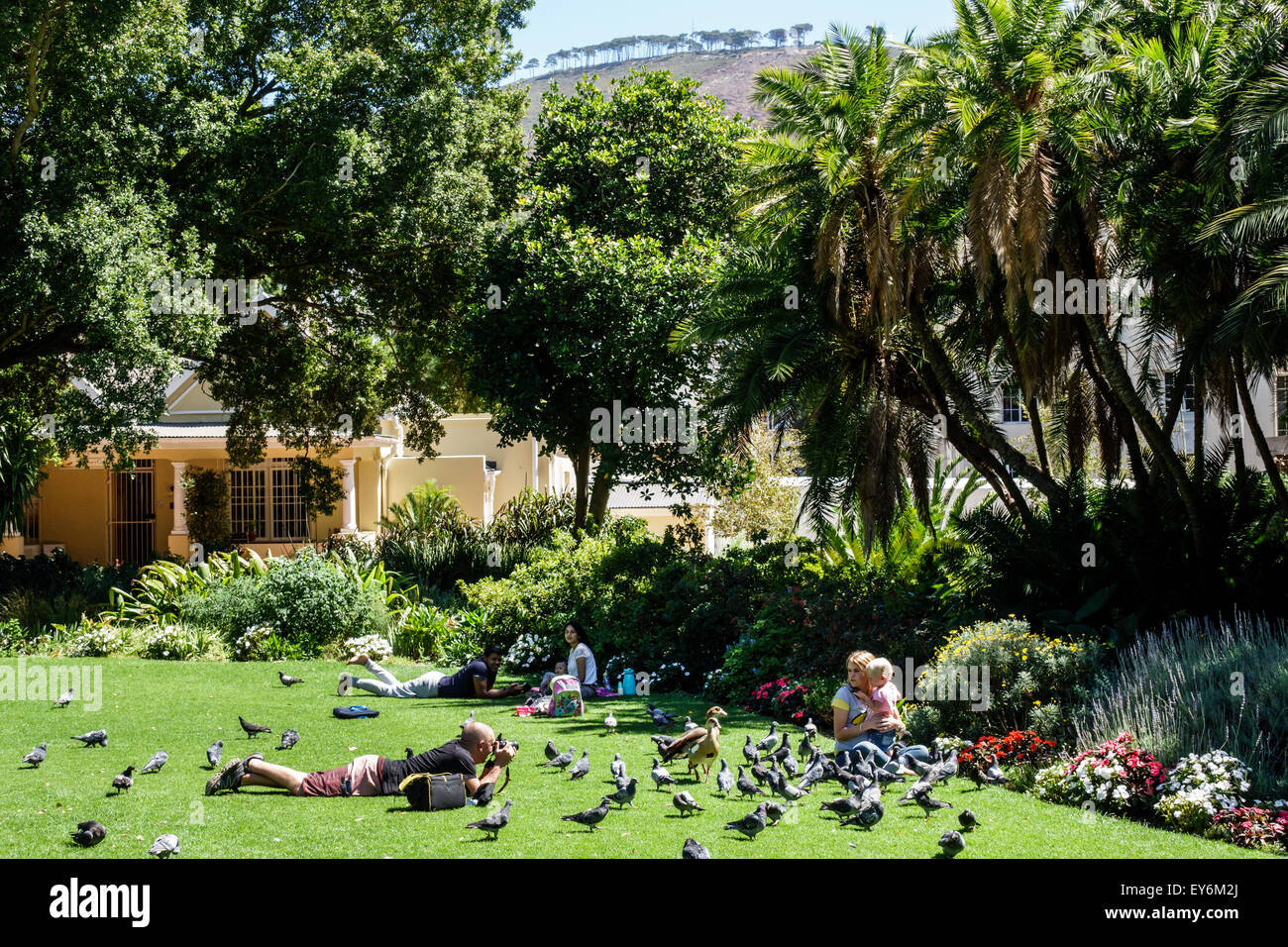 African garden birds hi-res stock photography and images - Alamy
