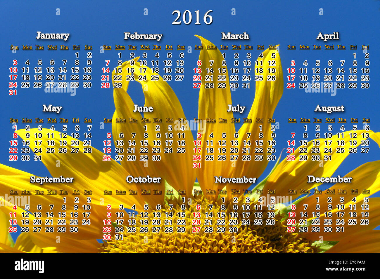 calendar for 2016 with big yellow sunflower Stock Photo - Alamy