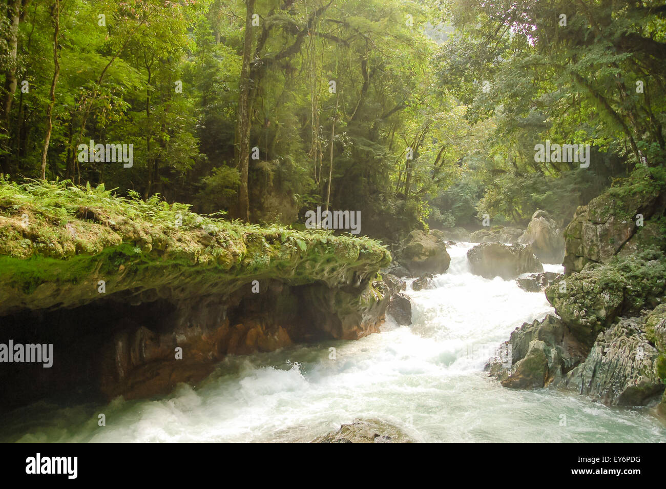 Semuc Champey Guatemala Stock Photo - Alamy