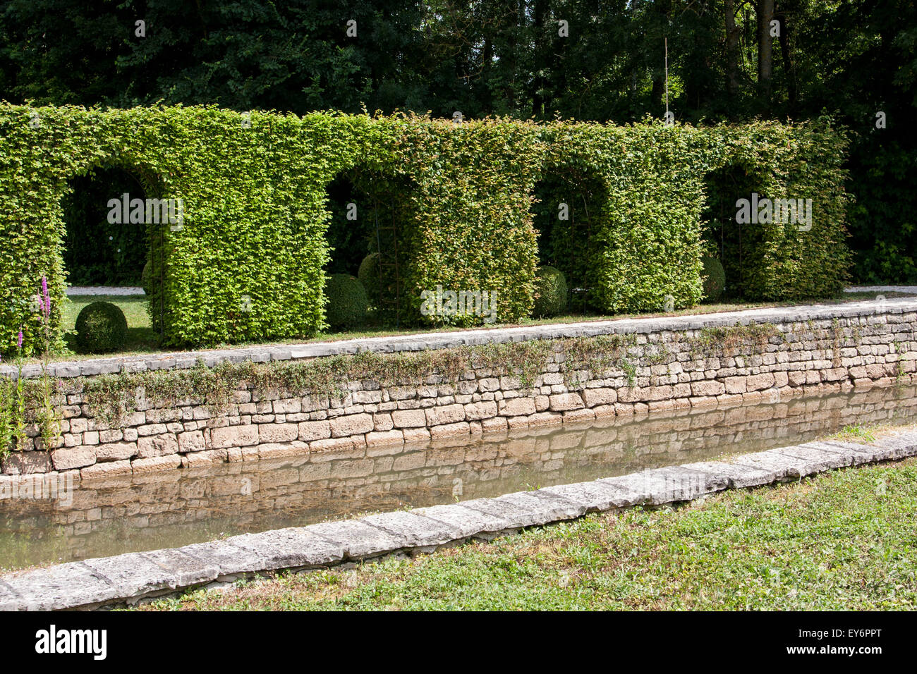 Formal hedge made into arches alongside a stone wall and stream Stock ...