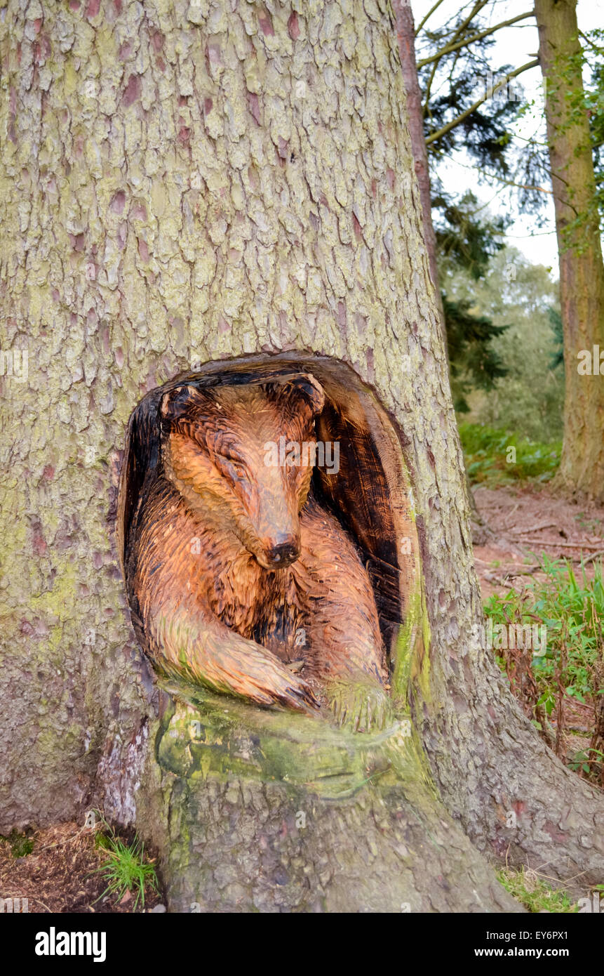 Carved badger statue rowlands gill hi-res stock photography and images ...