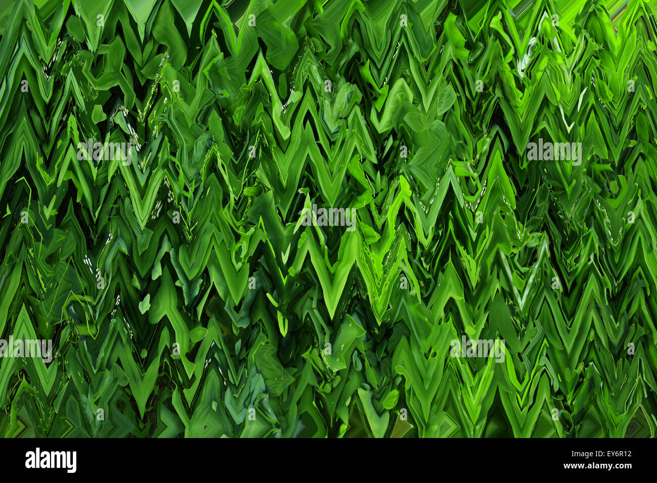 Abstract green texture hi-res stock photography and images - Alamy