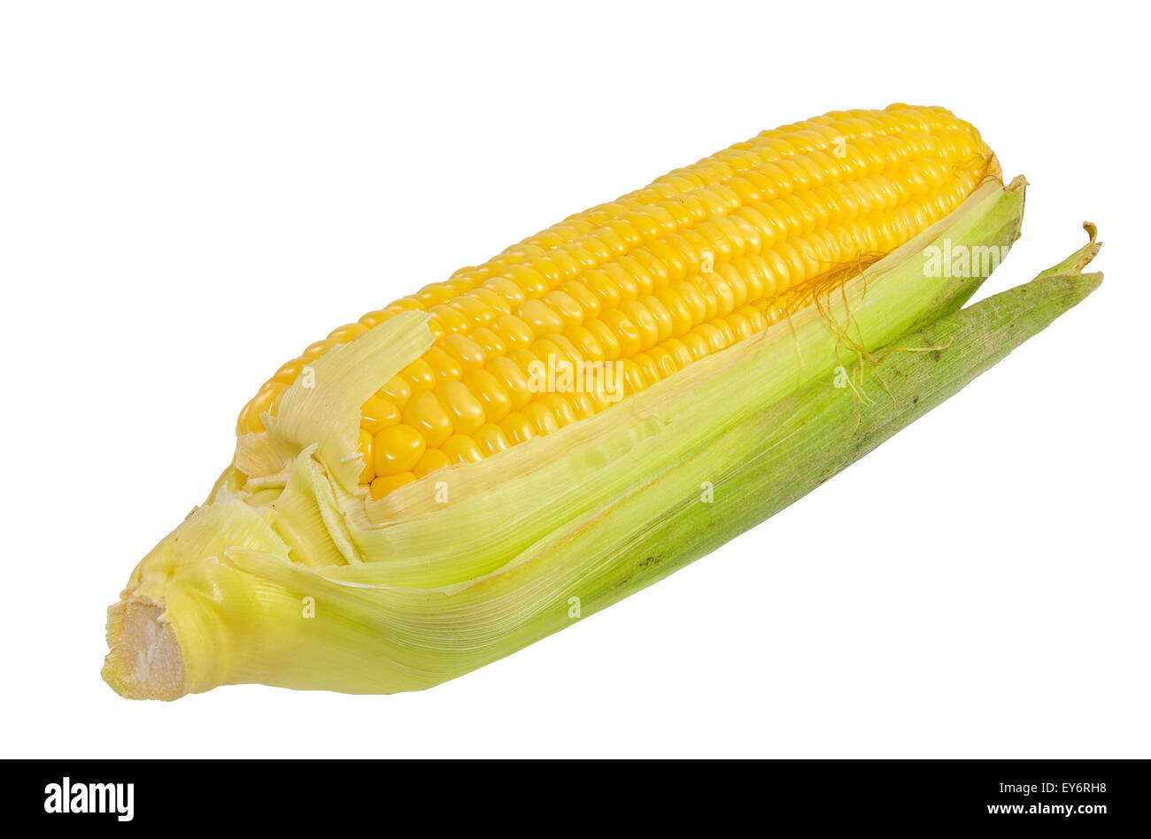 Corn isolated on a white background Stock Photo - Alamy