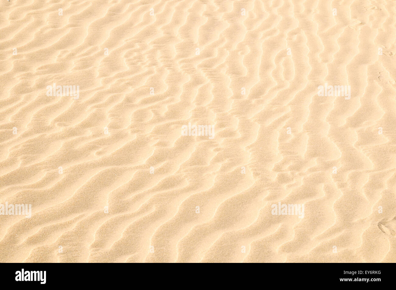 Sand Dune Desert Texture Stock Photo - Alamy