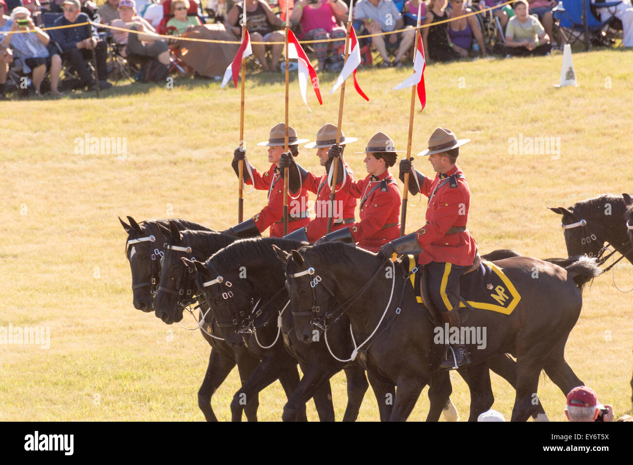 Rcmp horse hi-res stock photography and images - Alamy
