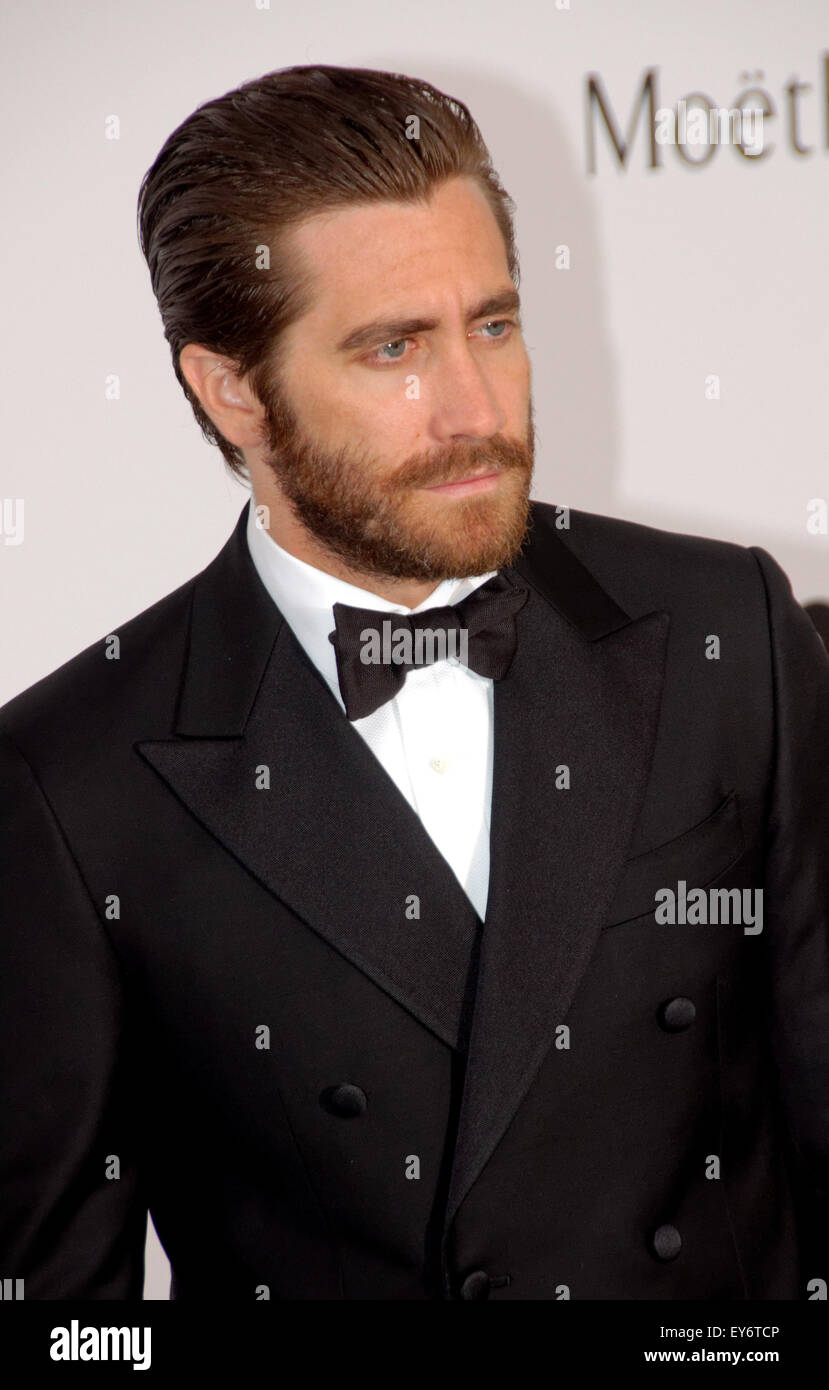 68th Cannes Film Festival - amfAR's Cinema Against Aids Gala at Hotel ...