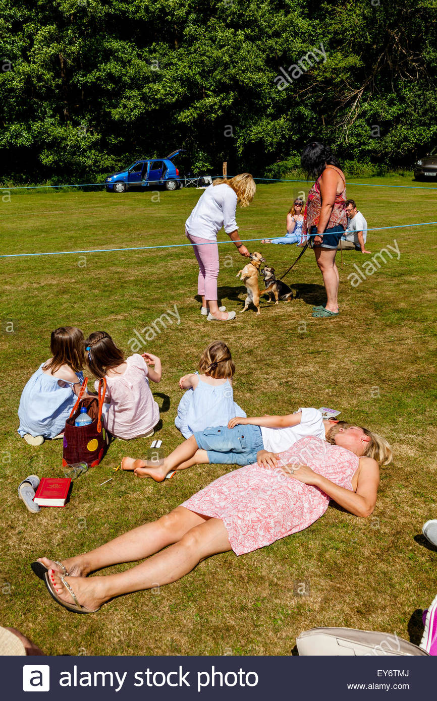 Village Dog Show High Resolution Stock Photography and Images - Alamy