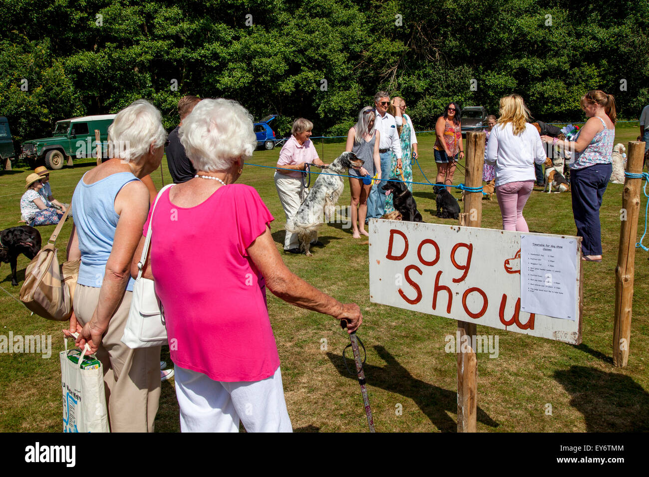 A Dog Show, Withyham Village Fete, Withyham, Sussex, UK Stock Photo - Alamy