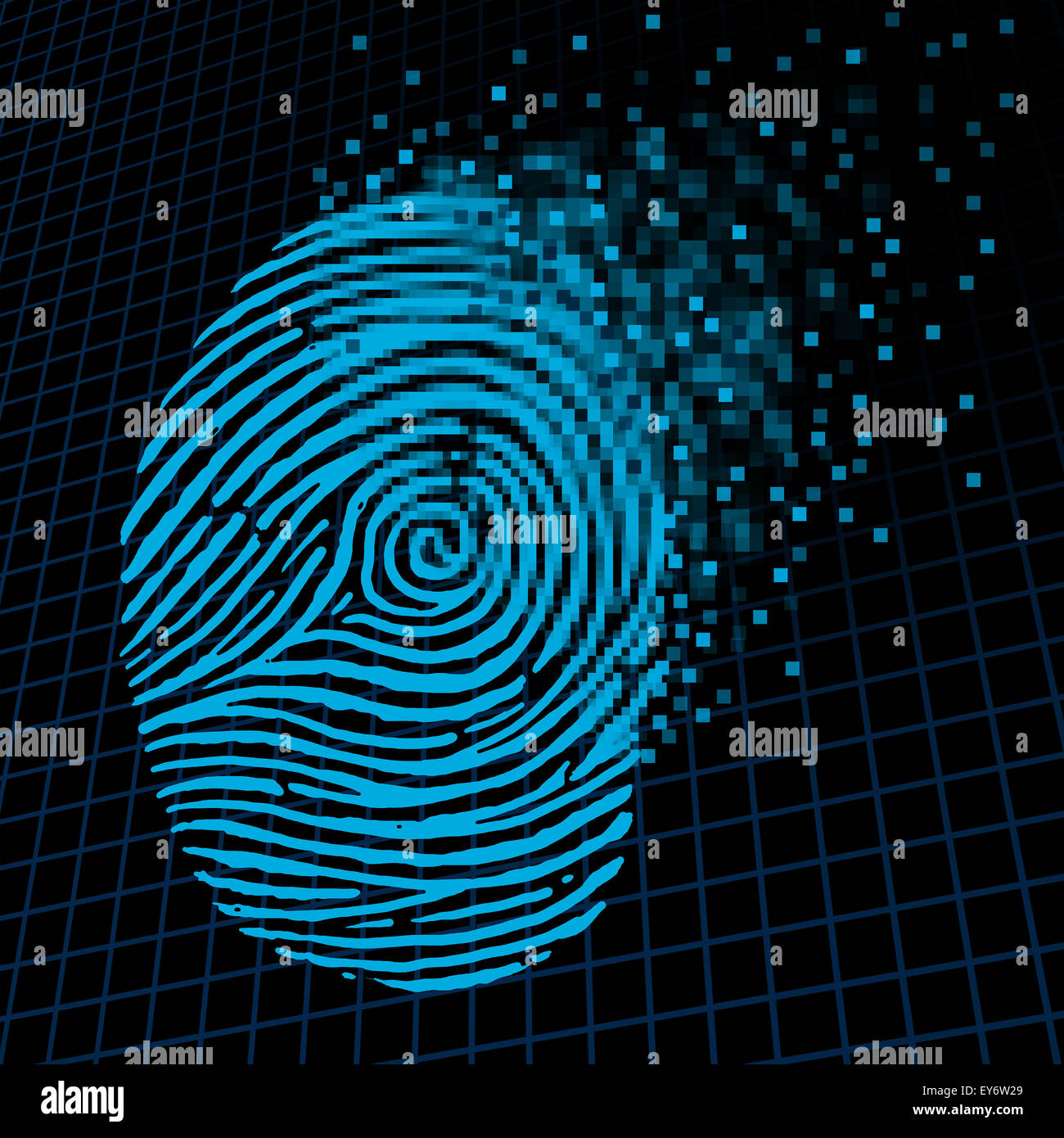 Personal information encryption and private data protection as a ...