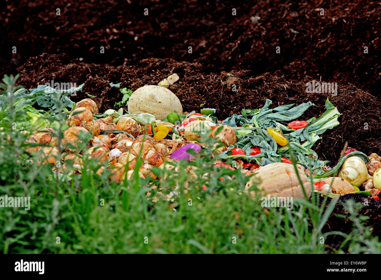 Composting fruits and vegetables Stock Photo - Alamy