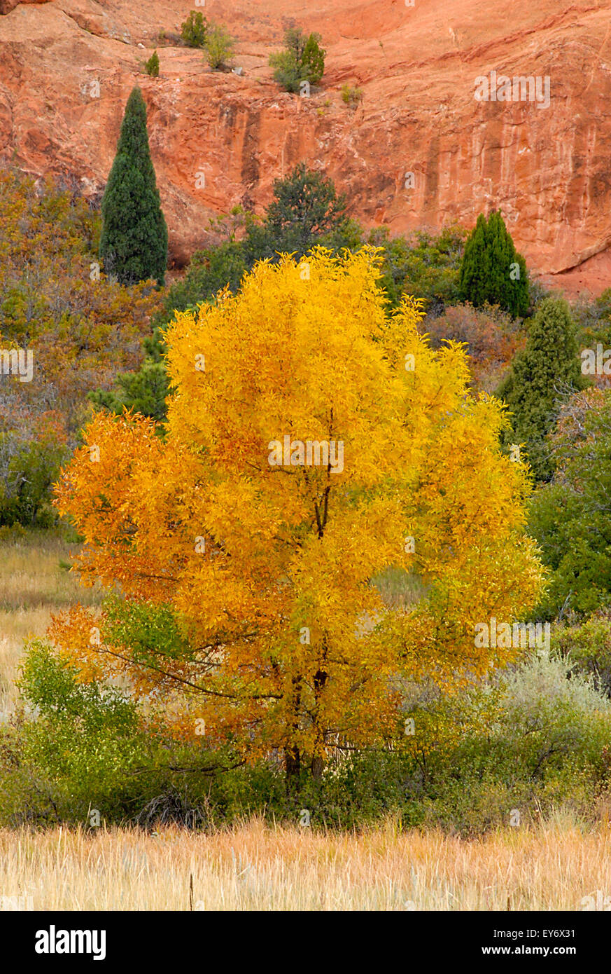 Early morning light and autumn's rich colors in the Garden of the Gods ...