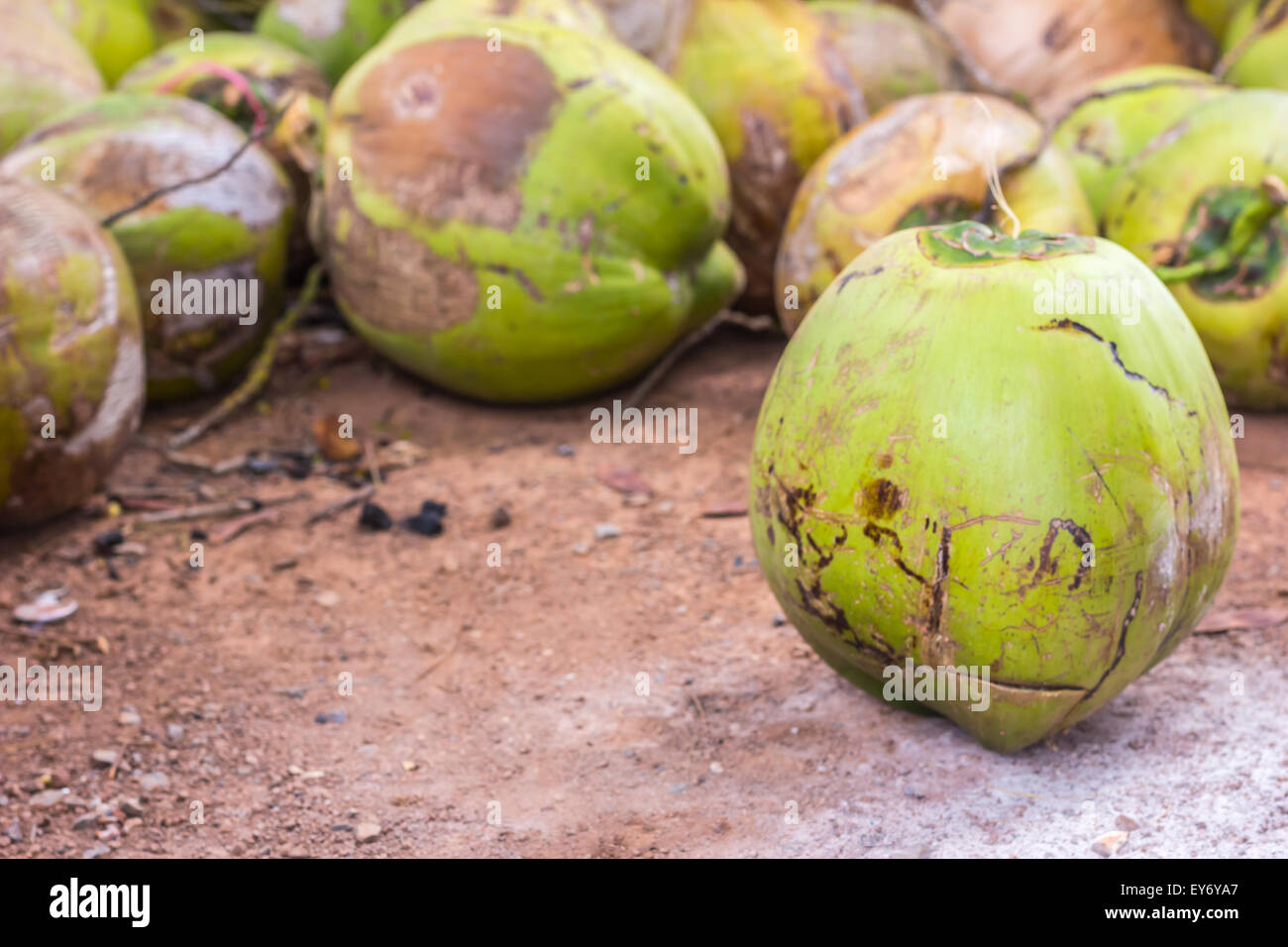 Group of green coconuts Stock Photo - Alamy