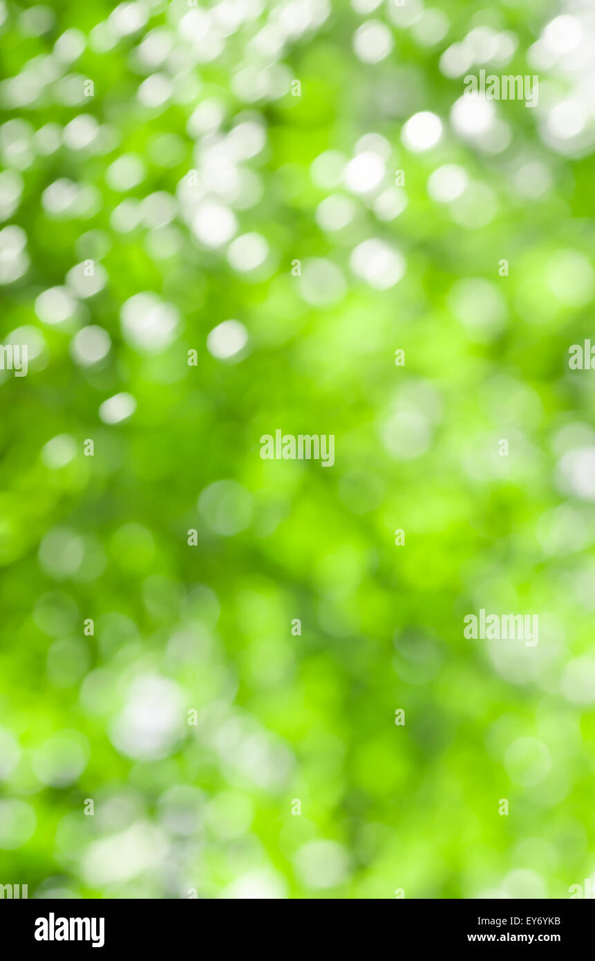 spring nature defocused nature background Stock Photo - Alamy
