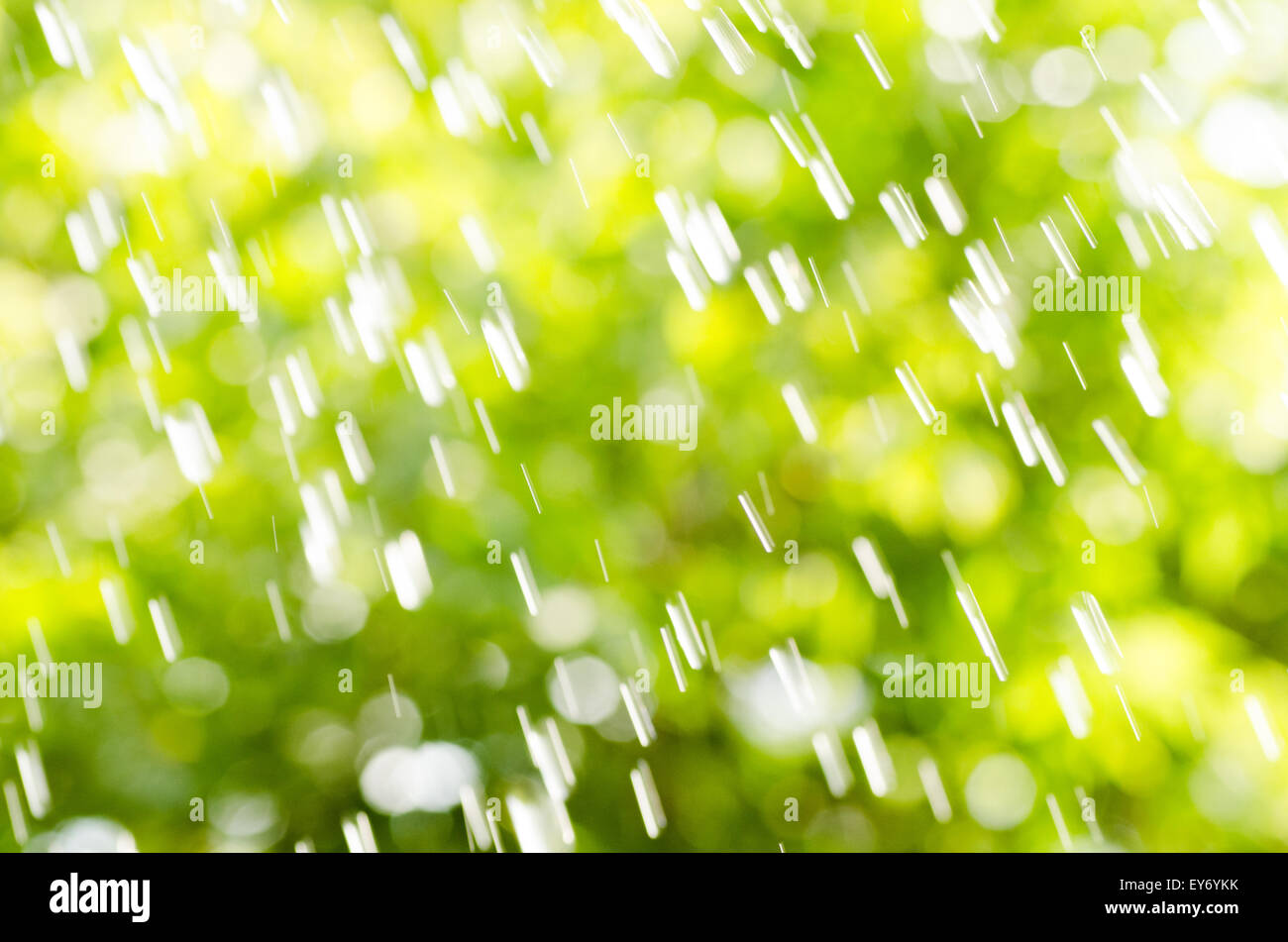 Spring rain hi-res stock photography and images - Alamy