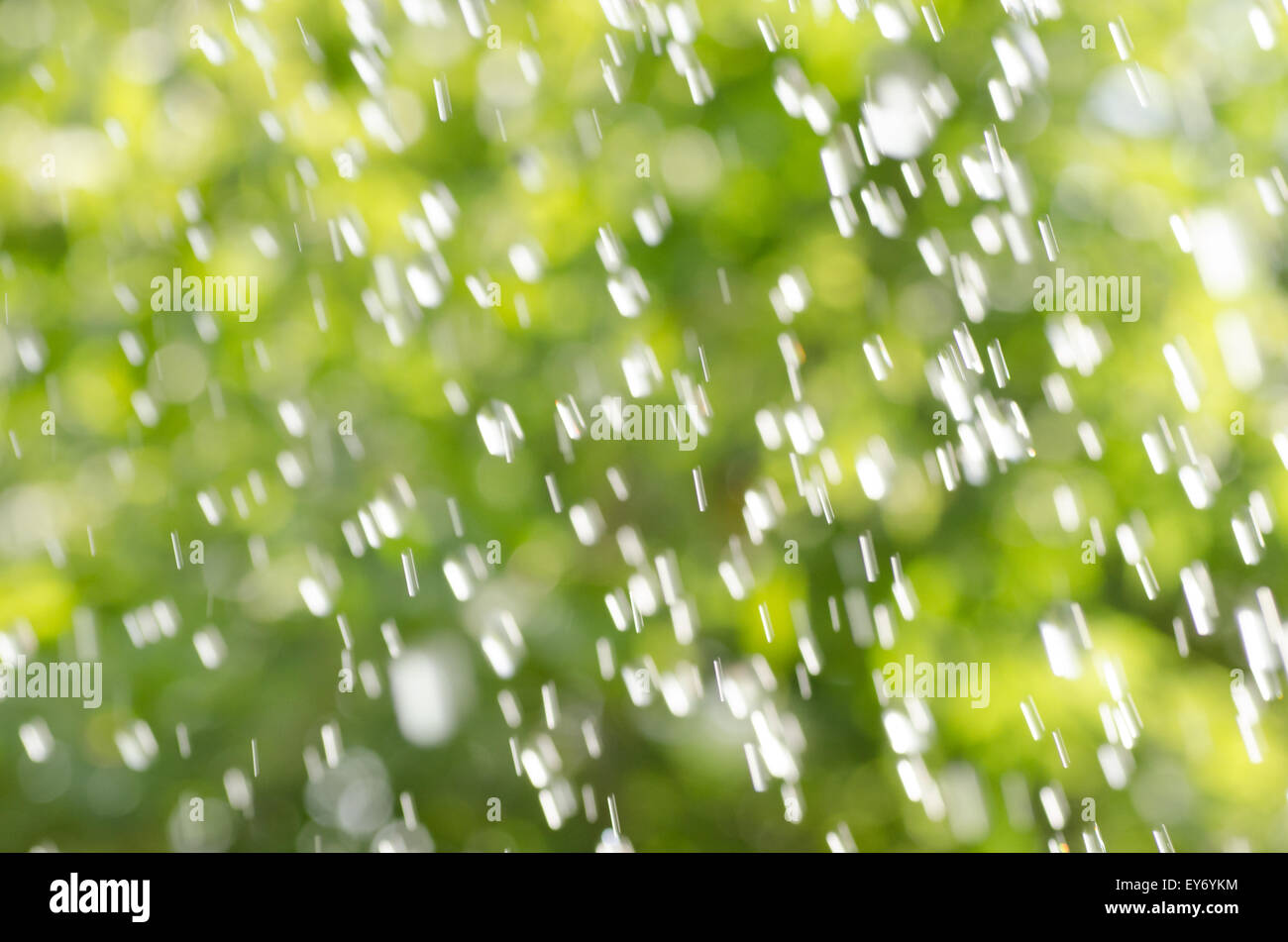 Pictures Of Spring Rain