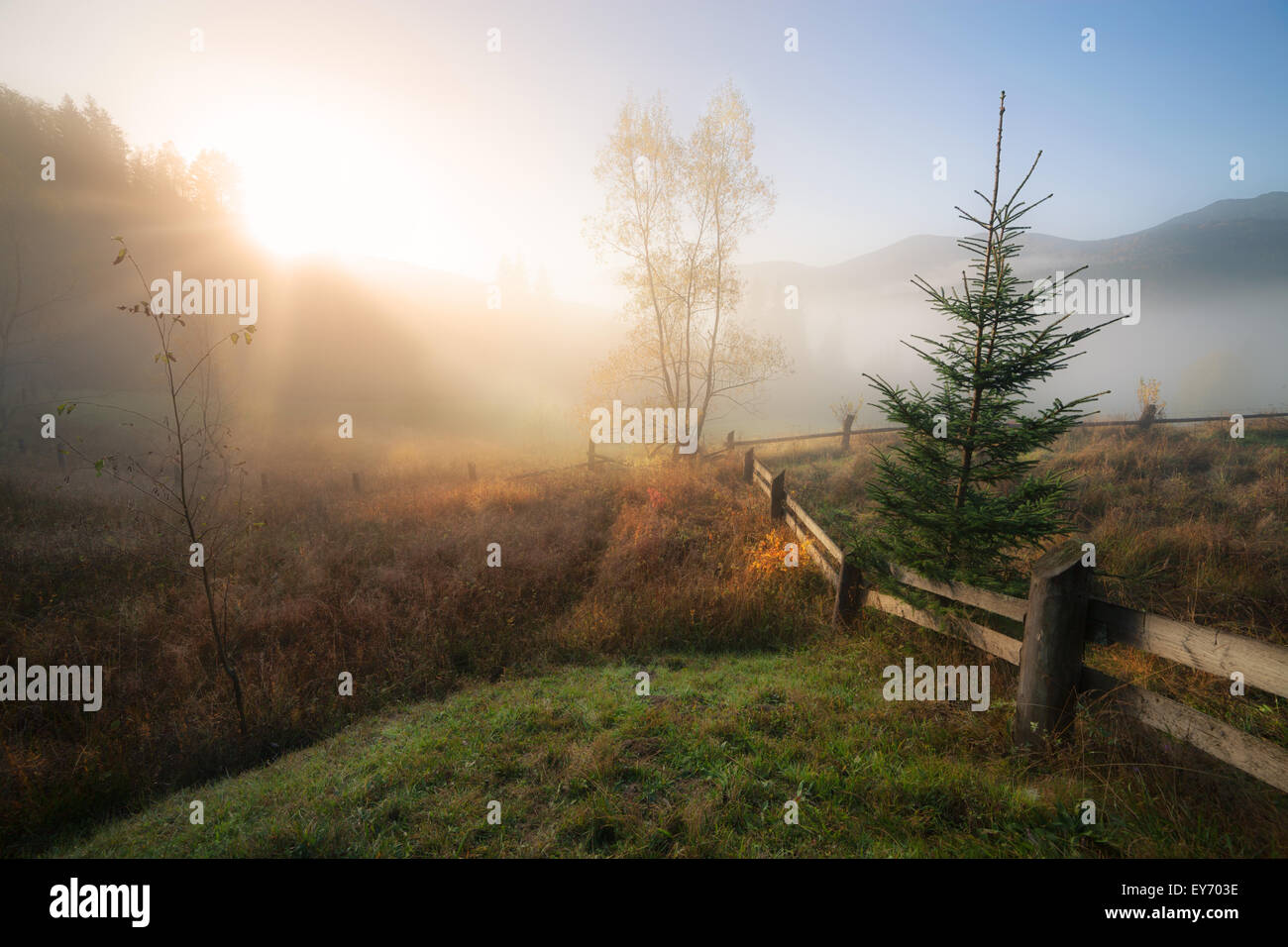 Fall colors mountain hill at sunny morning Stock Photo - Alamy
