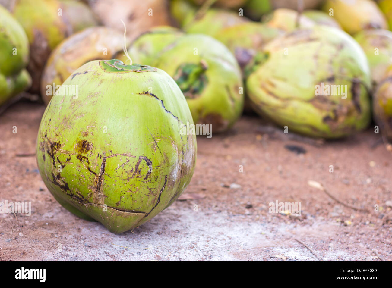 Group of green coconuts Stock Photo - Alamy