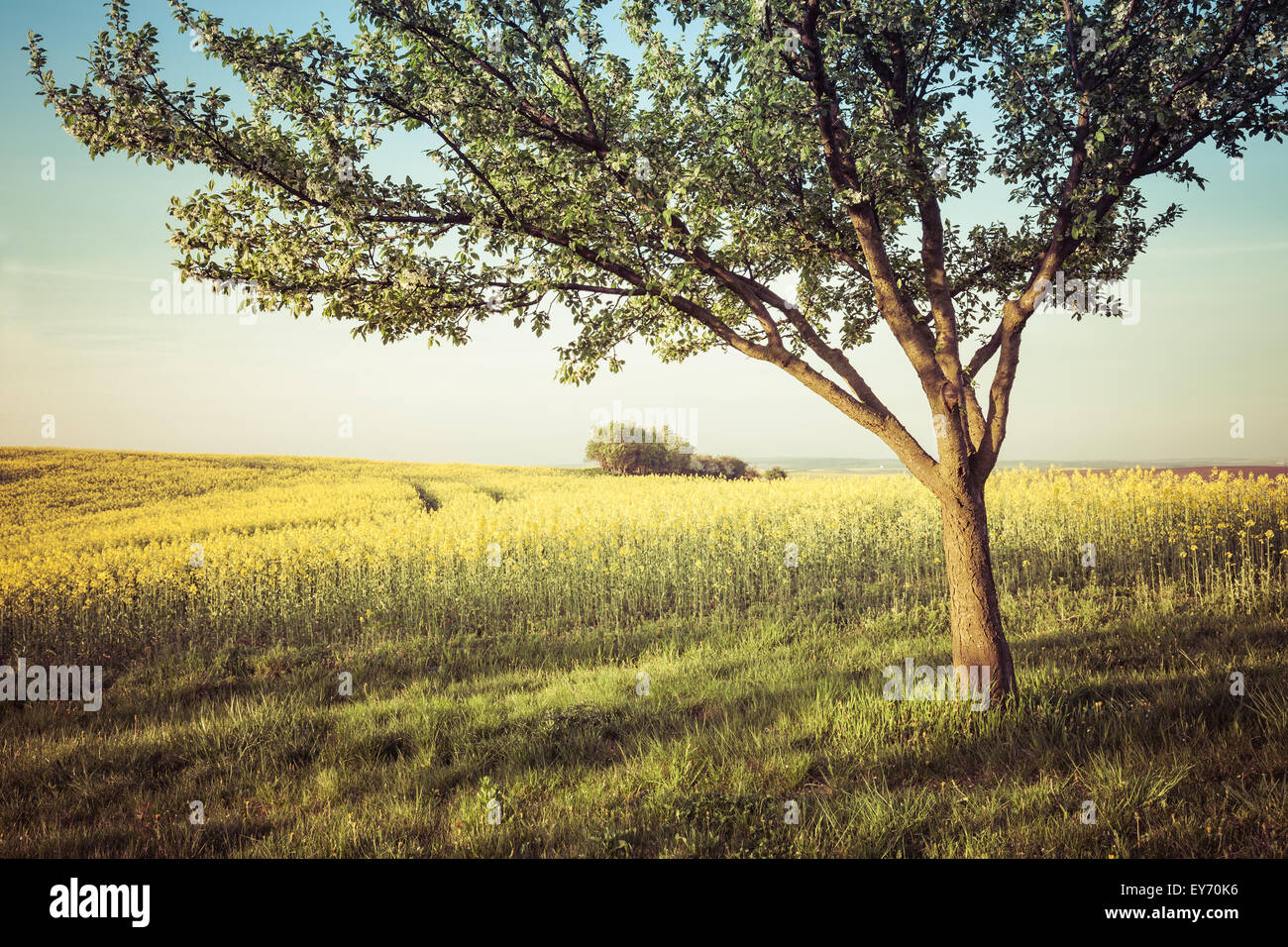 Beautiful countryside view Stock Photo - Alamy