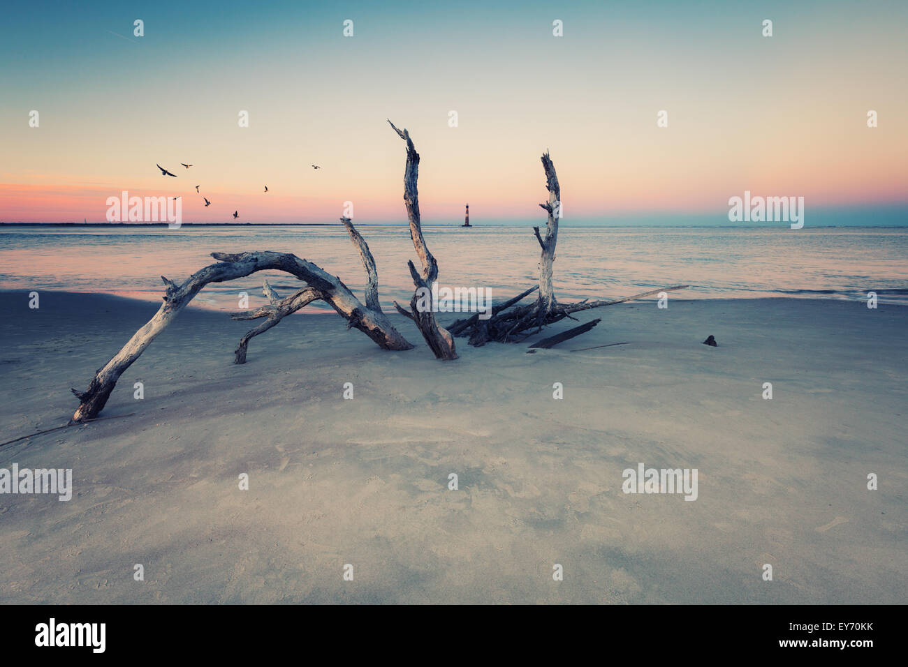 Morris Island Lighthouse at sunset, South Carolina, USA Stock Photo - Alamy