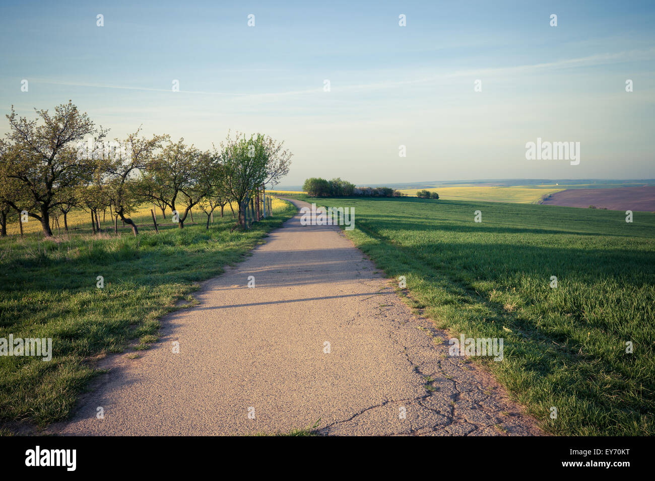 Road at beautiful countryside view Stock Photo - Alamy