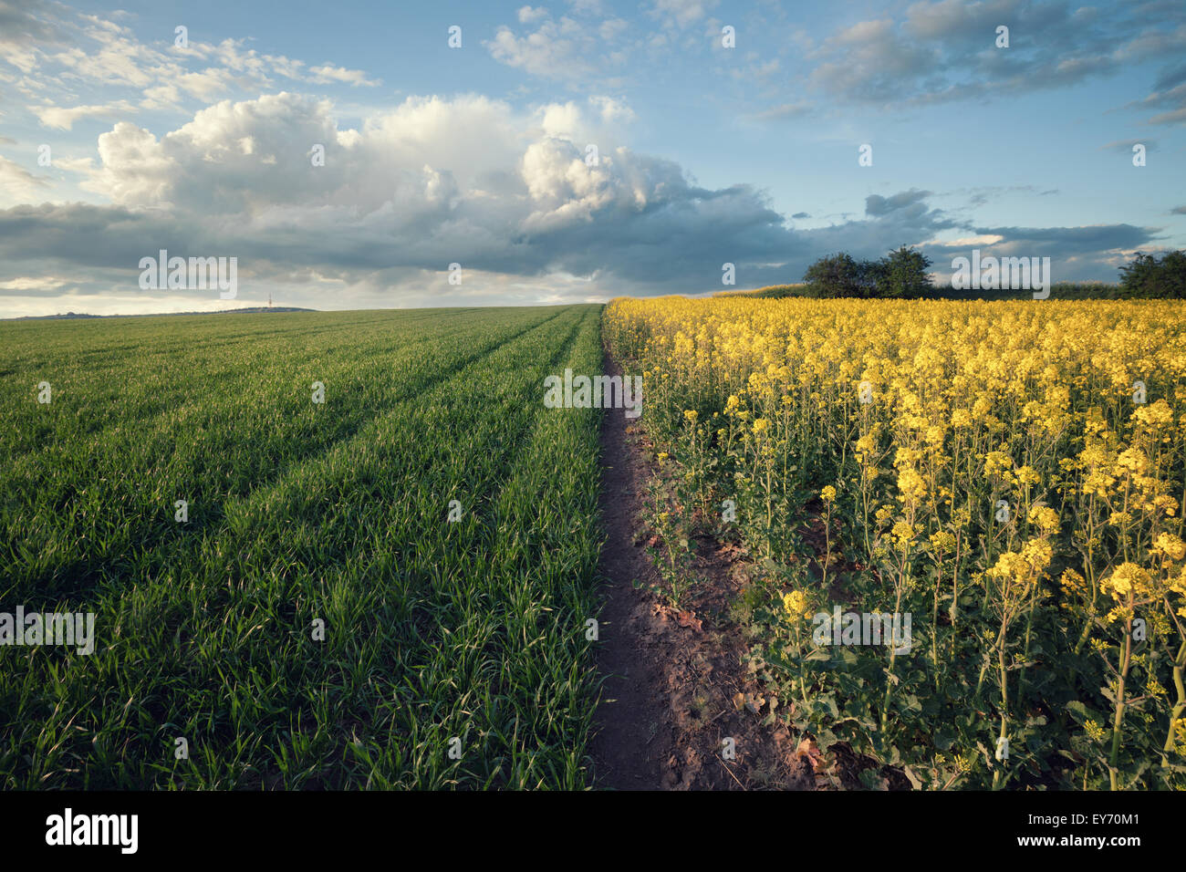Vintage style photo of beautiful field landscape Stock Photo - Alamy