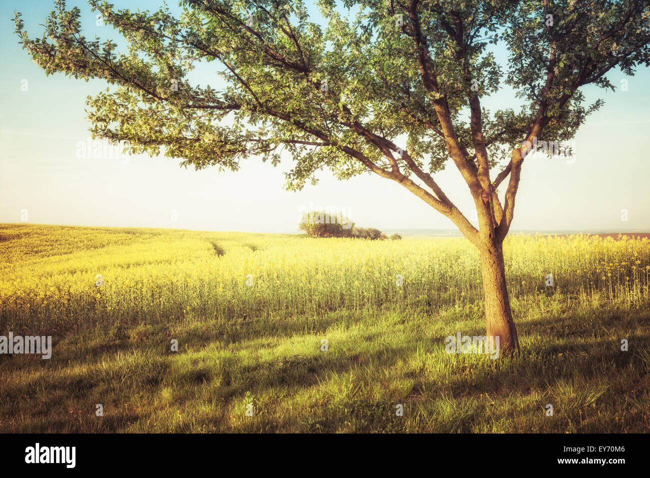 Beautiful countryside view Stock Photo - Alamy