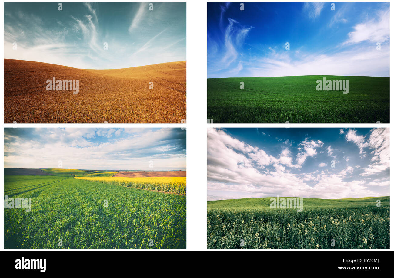 Set of beautiful nature field landscapes Stock Photo - Alamy
