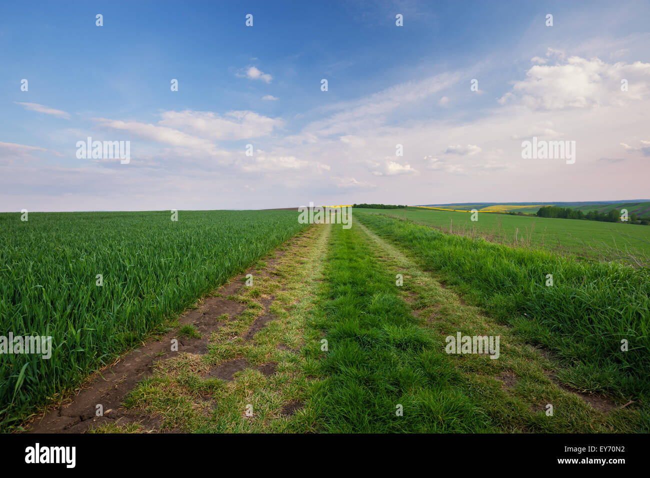 Beautiful countryside landscape Stock Photo - Alamy