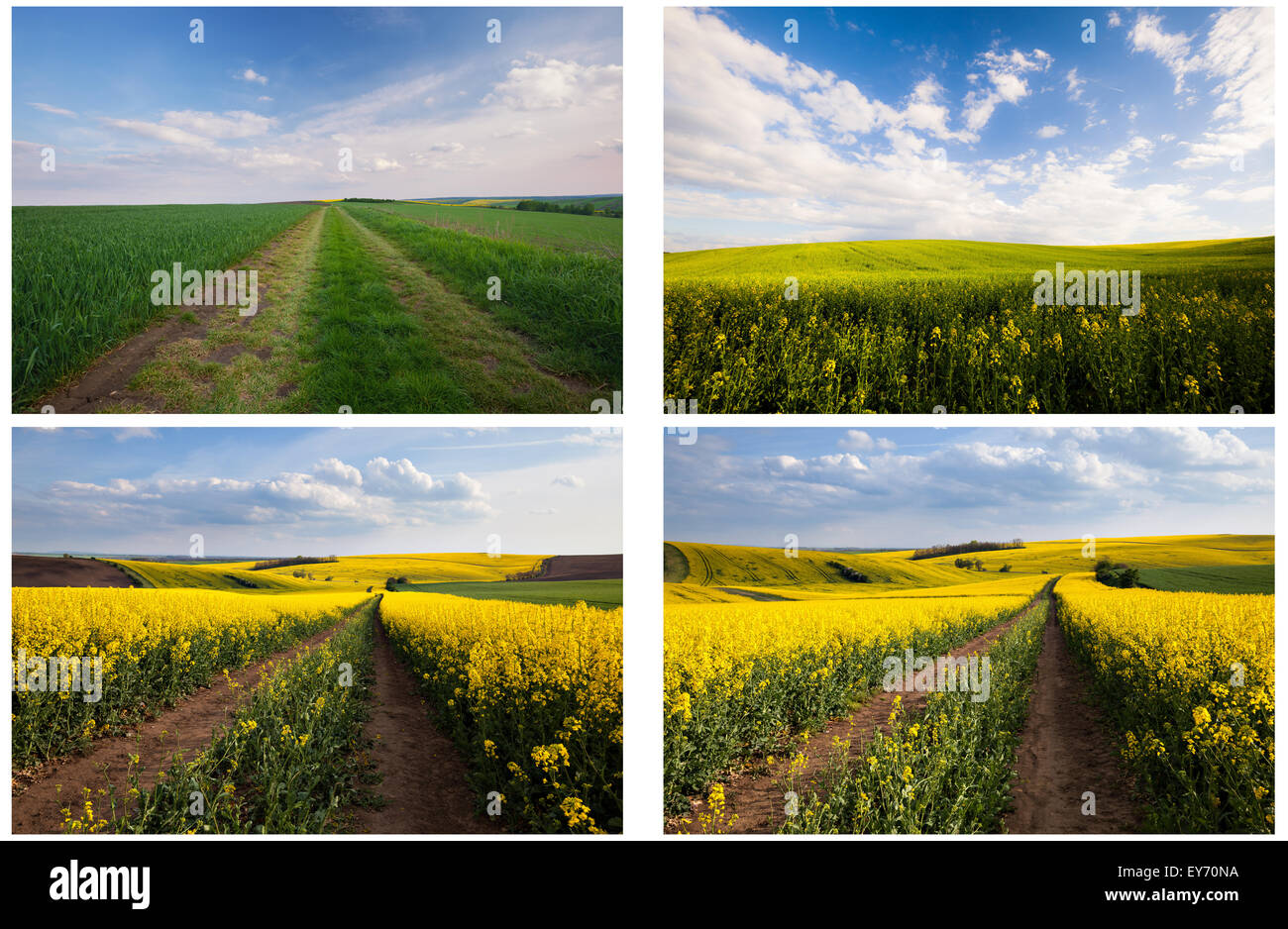 Set of beautiful countryside landscape Stock Photo - Alamy