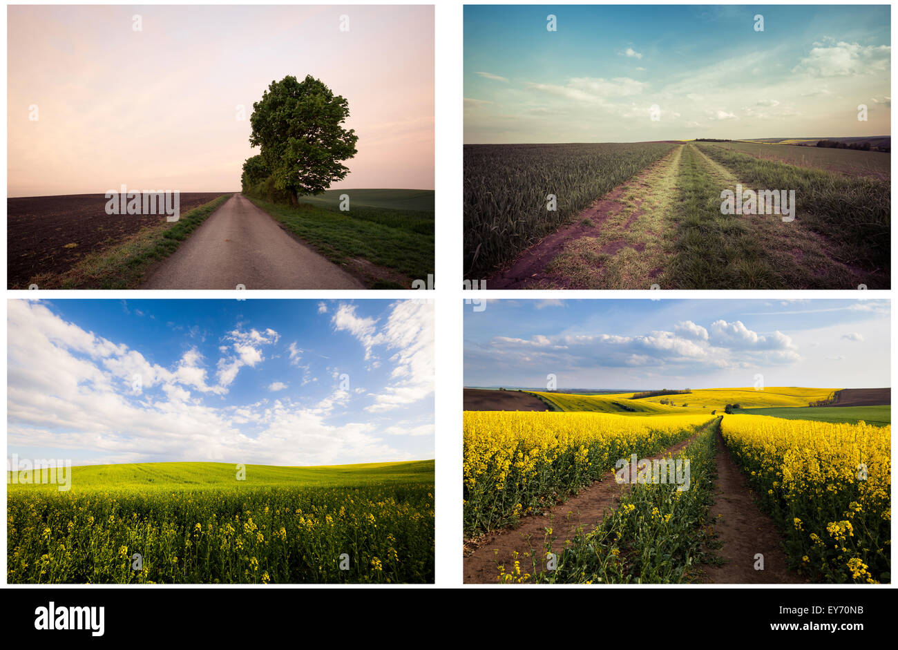 Set of beautiful countryside landscape Stock Photo - Alamy