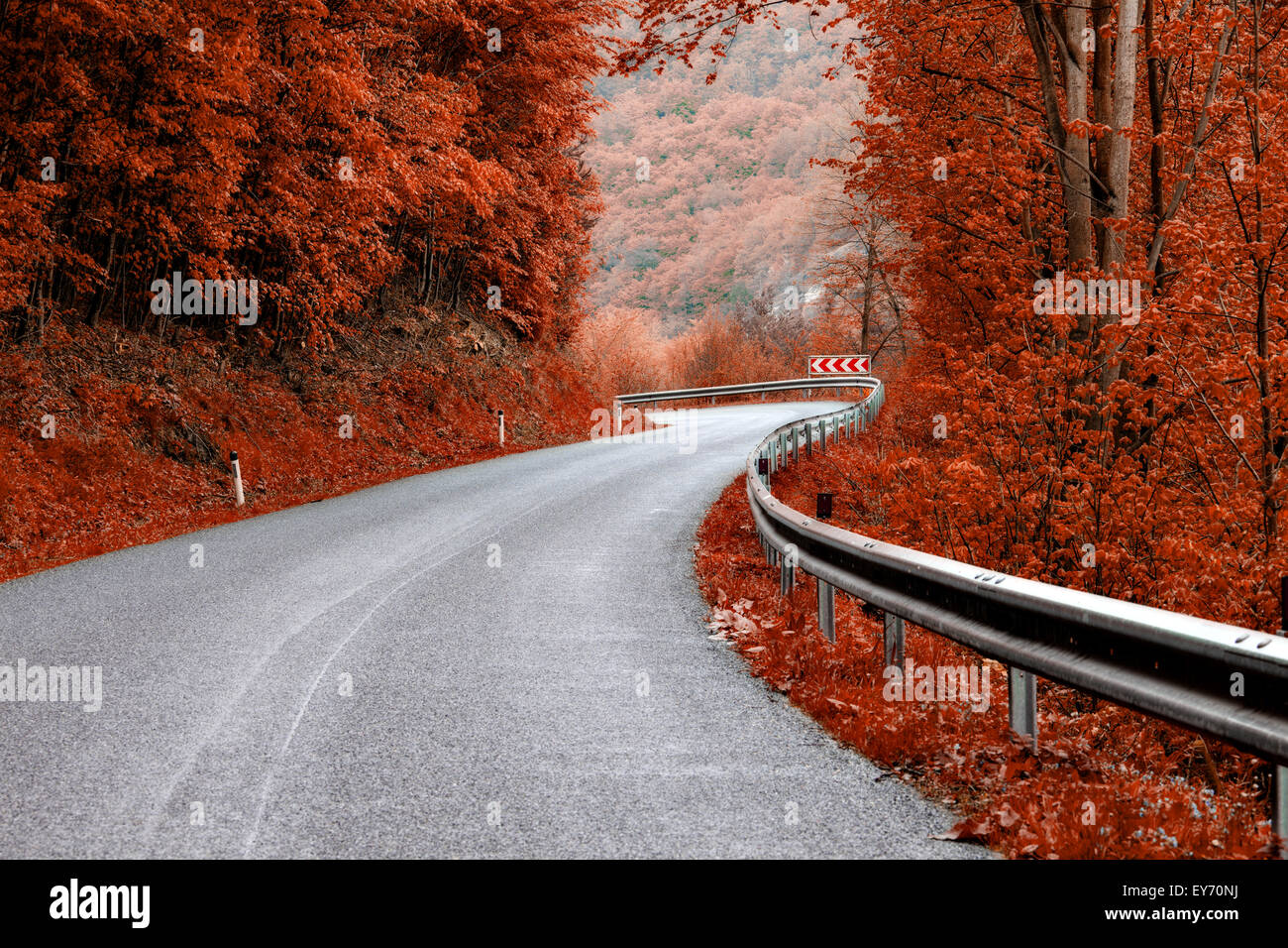 Road through fall colors hi-res stock photography and images - Alamy